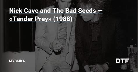 Nick Cave and The Bad Seeds Tender Prey 1988 Музыка на DTF