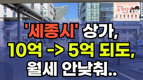10억짜리가 5억 되고 세입자가 안와서 월세도 못 받는 세종시 상가주들 왜 이들은 가격을 안 낮추고 공실을 유지할까