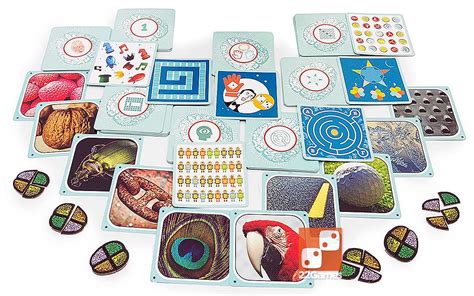 Кортекс 2 – Настольные игры – магазин 22Games.net