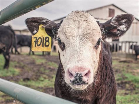 Feed Farmers Grain Company