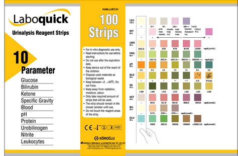 100 Piecesstrips 10 Parameter Urinalysis Strip Test Urine Dipstick