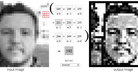 Image Kernels Explained Visually