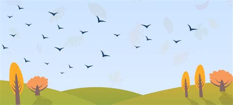 the art of website migrations siteground blog
