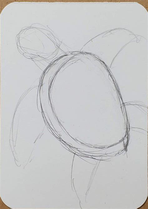 How To Draw A Sea Turtle Easy Art Tutorial Art By Ro