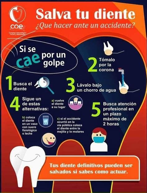 🗨️ Consejos Que Pueden Ayudar A Dra Lourdes Espinal