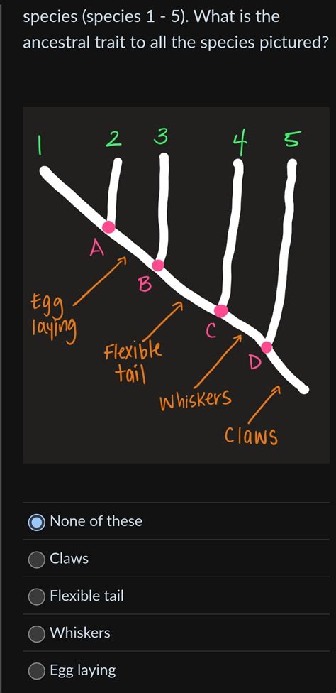 Solved What Is The Ancestral Trait To All The Species