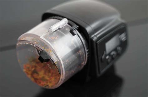6 Best Automatic Fish Feeder Options Reviews Aquarium Friend
