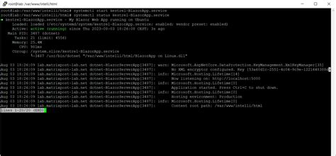 Running Blazor Server Web App On Linux And Apache Matrixpost Net