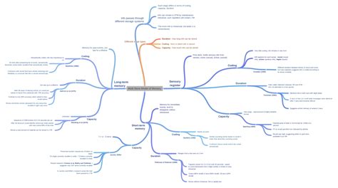 Multi Store Model Of Memory Sensory Register Coding Crowder 1993