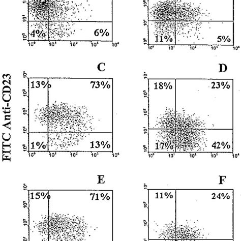 Ebv Specific Cd4 T Cells Induce Differentiation Of Ebvtransformed B