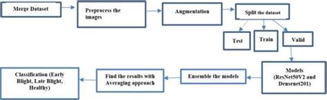 Figure 2 From Potato Leaf Disease Detection Through Ensemble Average Deep Learning Model And