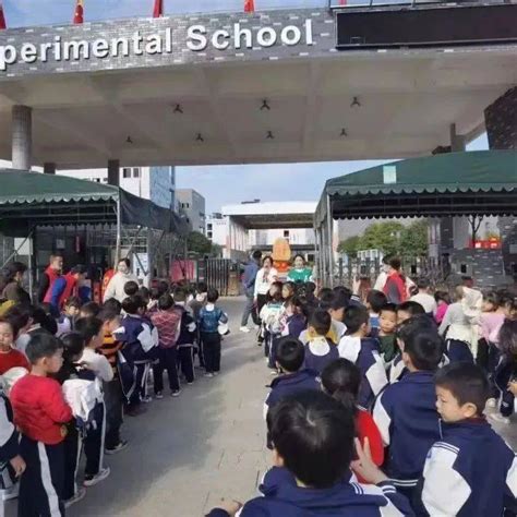 【学前教育宣传月】王府景幼儿园：双向奔赴只为你科学小学活动