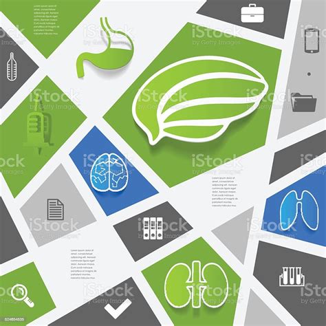 Veterinary Sticker Infographic向量圖形及更多信息圖形圖片 信息圖形 健保和醫療 創作性 Istock