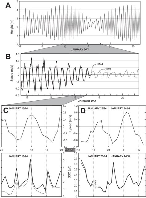 A Predicted Tidal Curve For The Mouth Of The Delta Based On Data