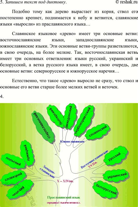 (Решено)Упр.303 ГДЗ Пименова Еремеева 7 класс по русскому языку