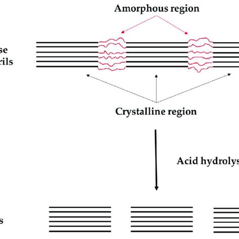 Schematic Diagram Of Acid Hydrolysis To Extract Nanocrystalline
