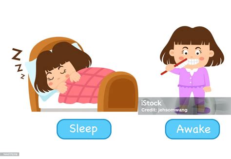 Opposite Words Words Asleep And Awake Vector Illustration Stock