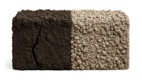 How Lime Soil Stabilization Improves Soil Durability