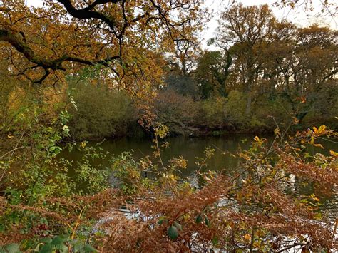 Bookham Commons Surrey Things To See Pictures And Videos