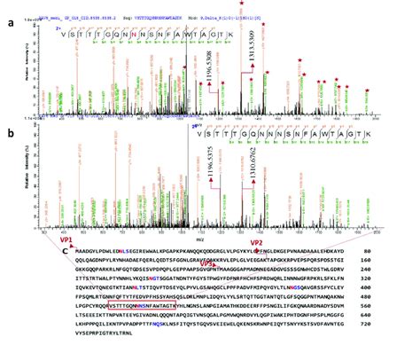 Two Distinct Tandem Mass Spectra Of Peptide Sequence Download