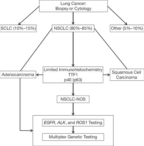 Cellular And Molecular Pathology Of Lung Cancer Thoracic Key