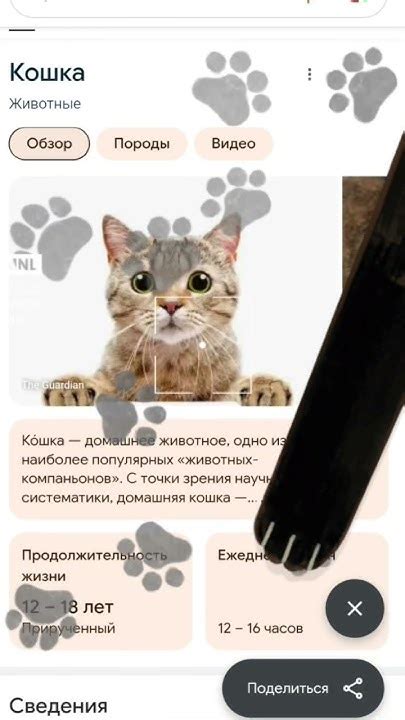 введите слово кот и наслаждайтесь 😁😁😁 Youtube