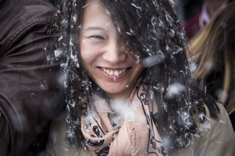 World Pillow Fight Day 2014 Popsugar Celebrity