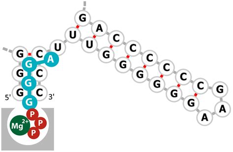 Febs Letters Vol 598 No 5