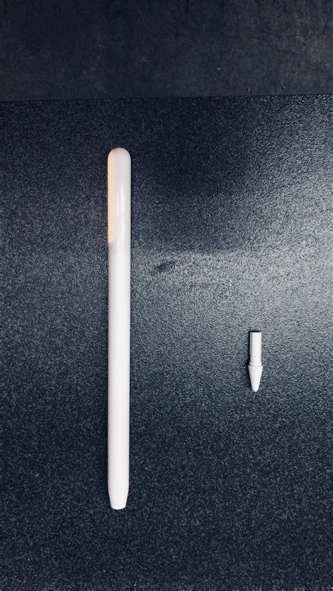 Apple Pencil 3-го поколения показали на фото: зачем стилусу удлиненный ...