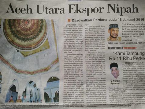 Daun Nipah Aceh Pt Aceh Milenium