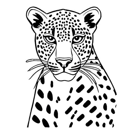 Minimal Leopard Coloring Page Lulu Pages