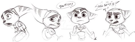 Shira Hedgie Professional Filmographer Deviantart