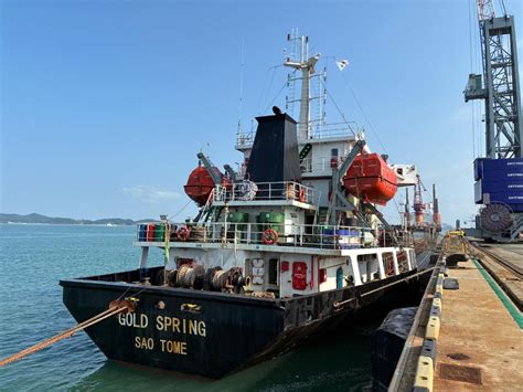 Mv Gold Spring