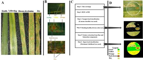 Figure 1 From Evaluating The Effect Of Different Wheat Rust Disease Symptoms On Vegetation