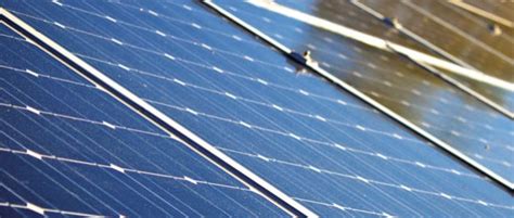 La Importancia De Reconocer La Calidad De Los Paneles Solares