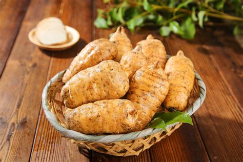 天麻图片素材 天麻设计素材 天麻摄影作品 天麻源文件下载 天麻图片素材下载 天麻背景素材 天麻模板下载 搜索中心