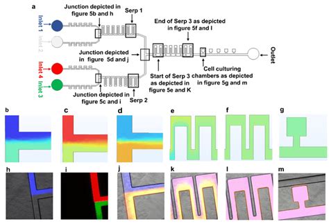 Mixing 4 Different Fluids Using Microfluidic Mixer In 2×2 Download Scientific Diagram