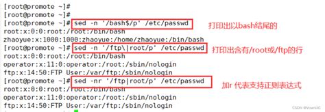 shell sed编辑器基本操作规范 sed基本原则是基于什么进行操作 CSDN博客