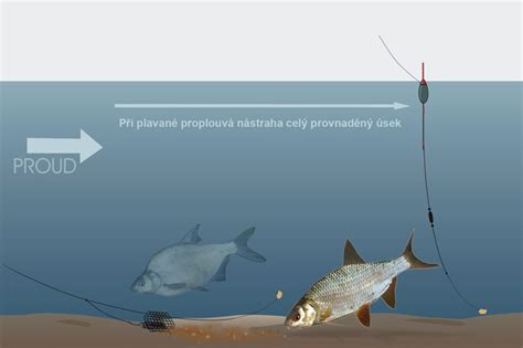 Základy feederu Feeder a ostatní techniky Chytej cz