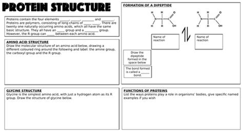 A Level Biology Proteins Worksheet Teaching Resources