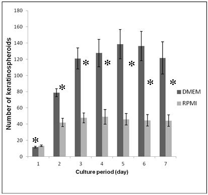 The Effects Of DMEM And RPMI Media To The Growth Of Keratinospheroids Download Scientific