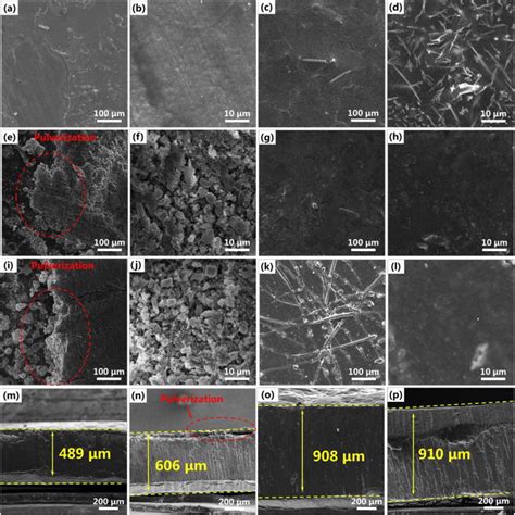 SEM Images Of A B Bare Li And C D LZCF Before Cycling E F