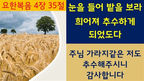 눈을 들어 밭을 보라 희어져 추수할 때가 되었도다요435고정관념 전도 Youtube