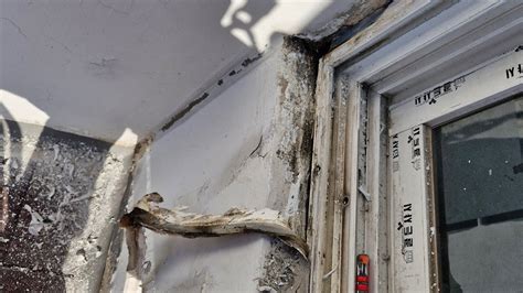 노후된 실리콘 수작업 100 제거 장면실리콘 달인 코킹 달인 외벽 로프 작업 베란다 코킹 실리콘 작업 코킹 작업 창틀 실리콘 작업 킹스타 코킹