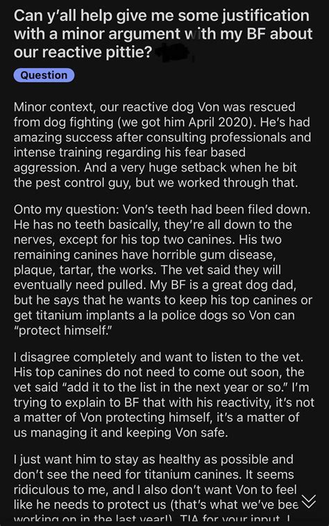 Pit So Dangerous That Couple Had To Shave Down Pit‘s Teeth And Now