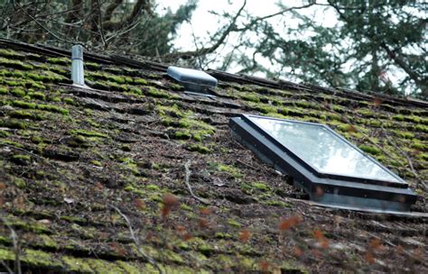 Roof Moss Home Remedy Effectiveness Does It Really Work Roof Home