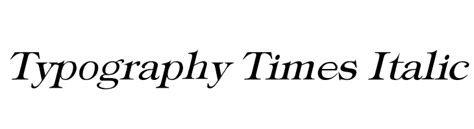 Typography Times Bold Italic Font