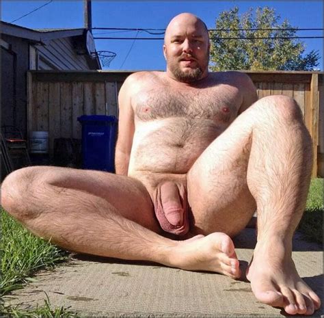 El Hermoso Bear Phnix