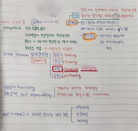 산업안전지도사 기업진단지도 팀의 유형 집단사고 집단극화집단의사결정기법 네이버 블로그