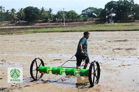 Ksnm Mild Steelplastic Agriculture Tnau Paddy Seeder For Agricultural